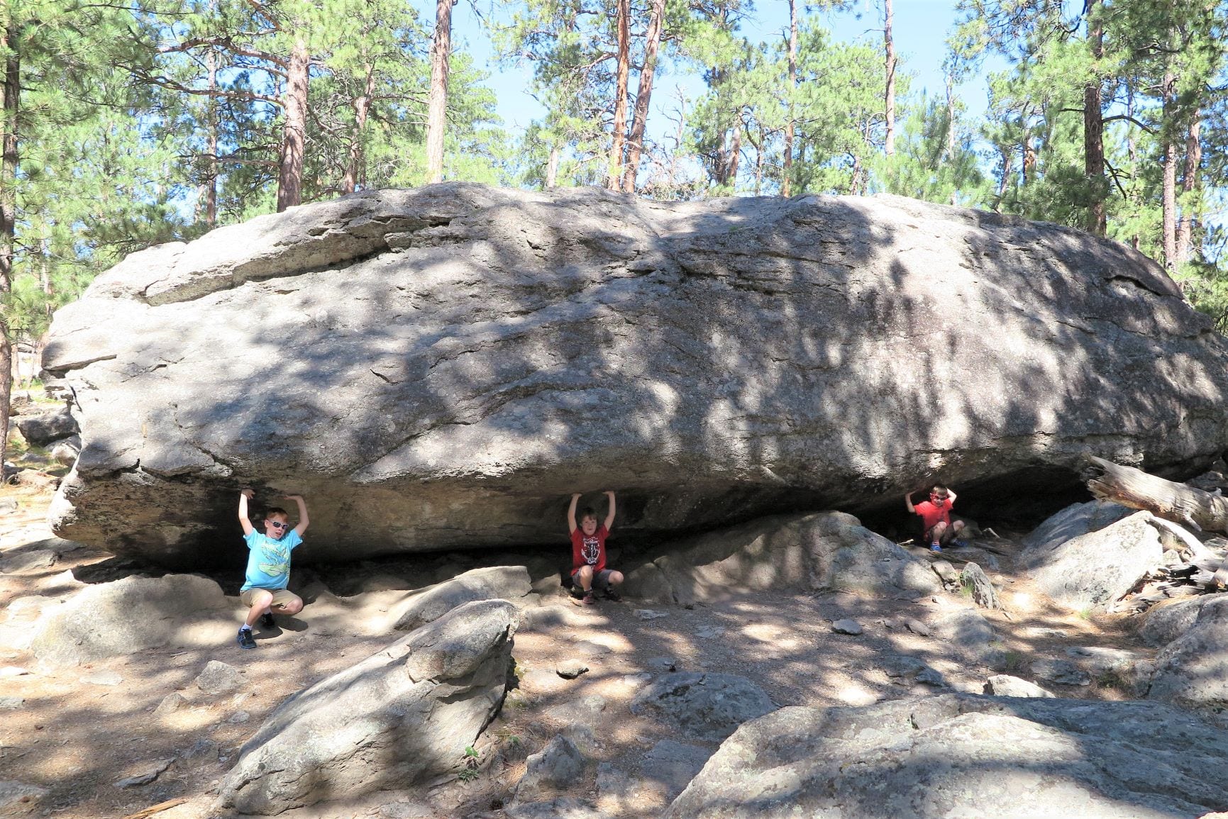 How to Hike at the Incredible Devils Tower with Kids! - 10 Traveling Feet
