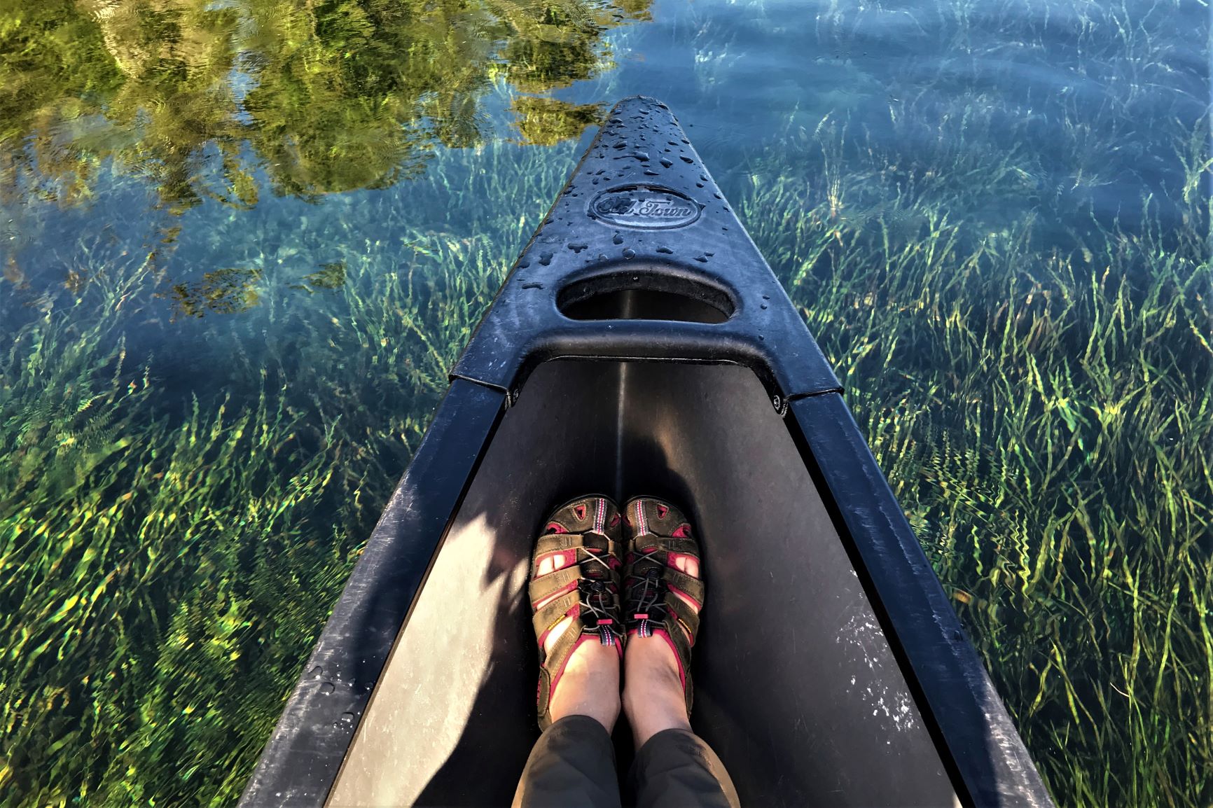 The Best Unique Kayaking Experiences in Florida (Family-Friendly) - 10 ...