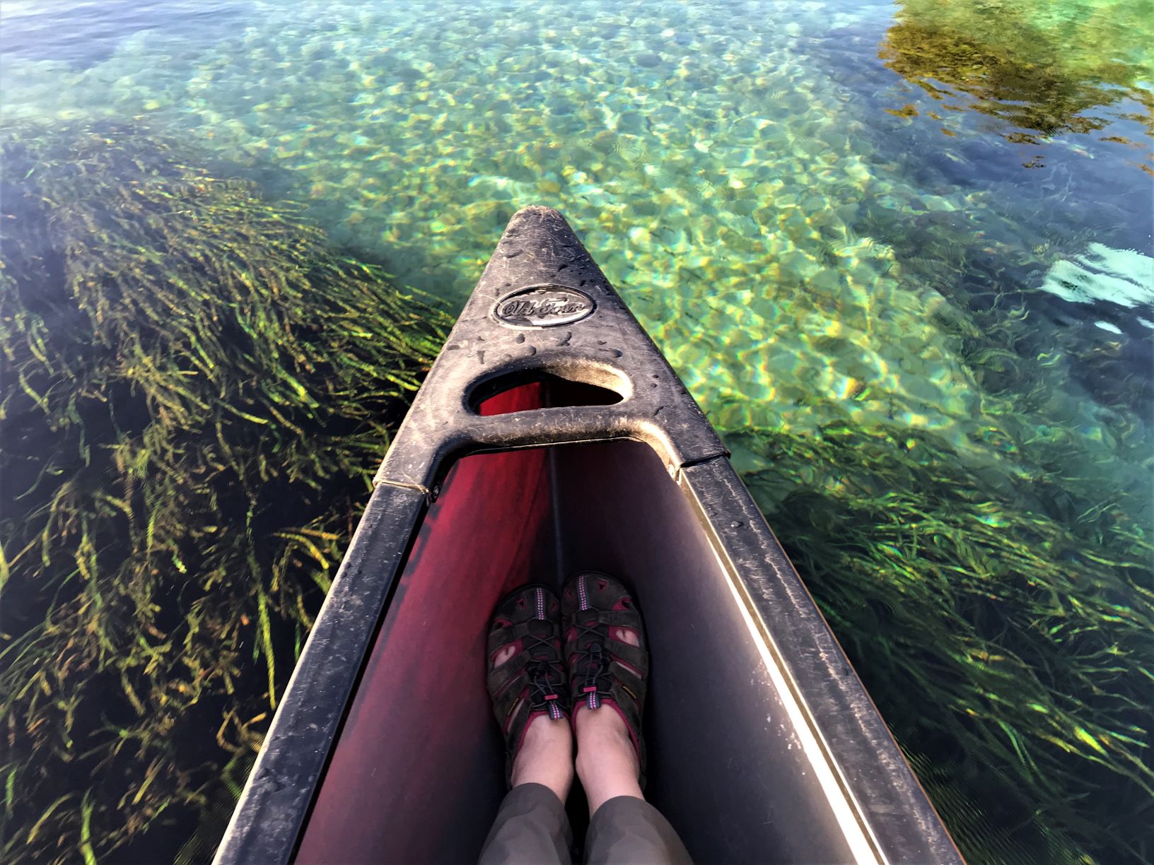 The Best Unique Kayaking Experiences in Florida (Family-Friendly) - 10 ...