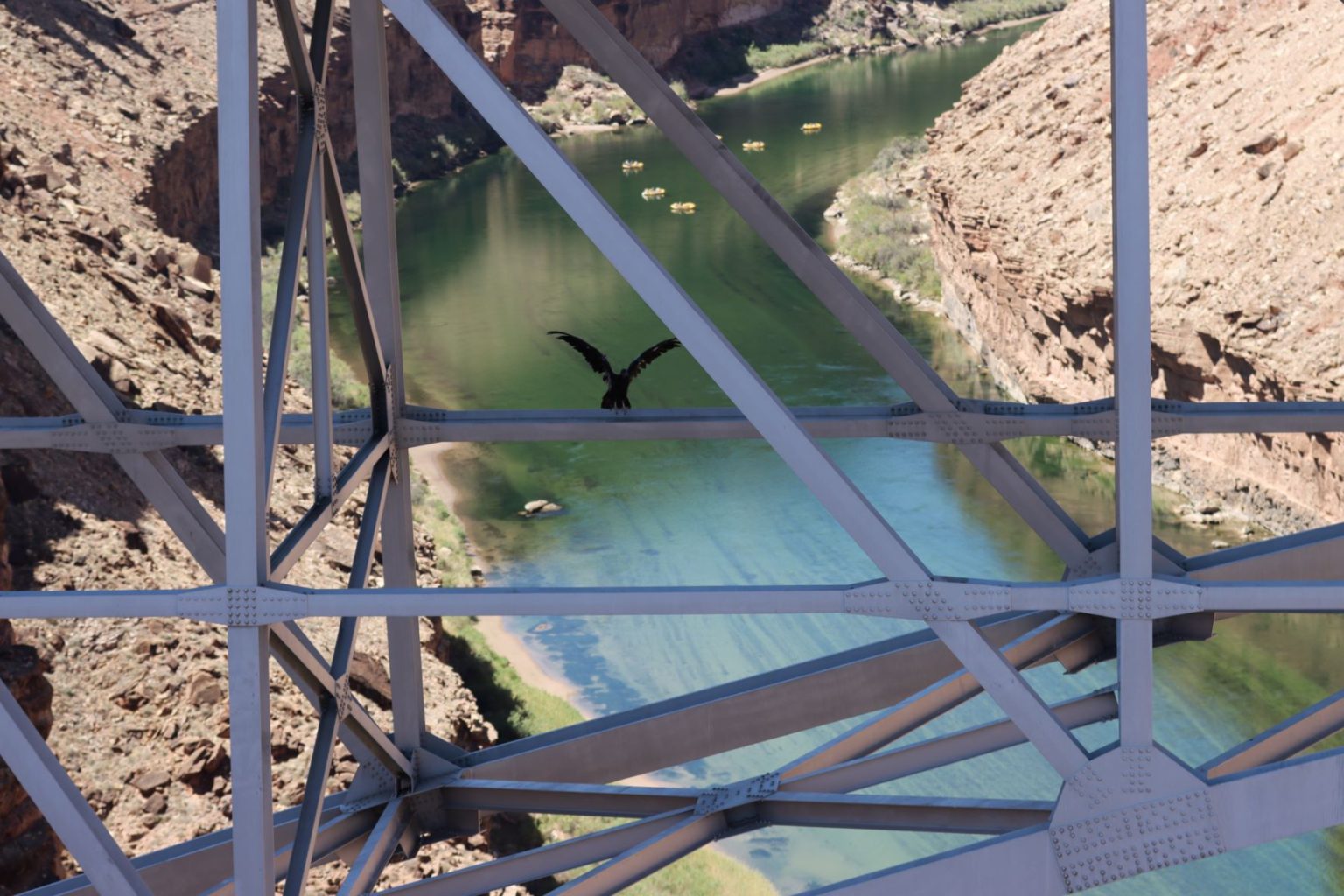 Where to See the Rare California Condors at The Historic Navajo Bridge ...