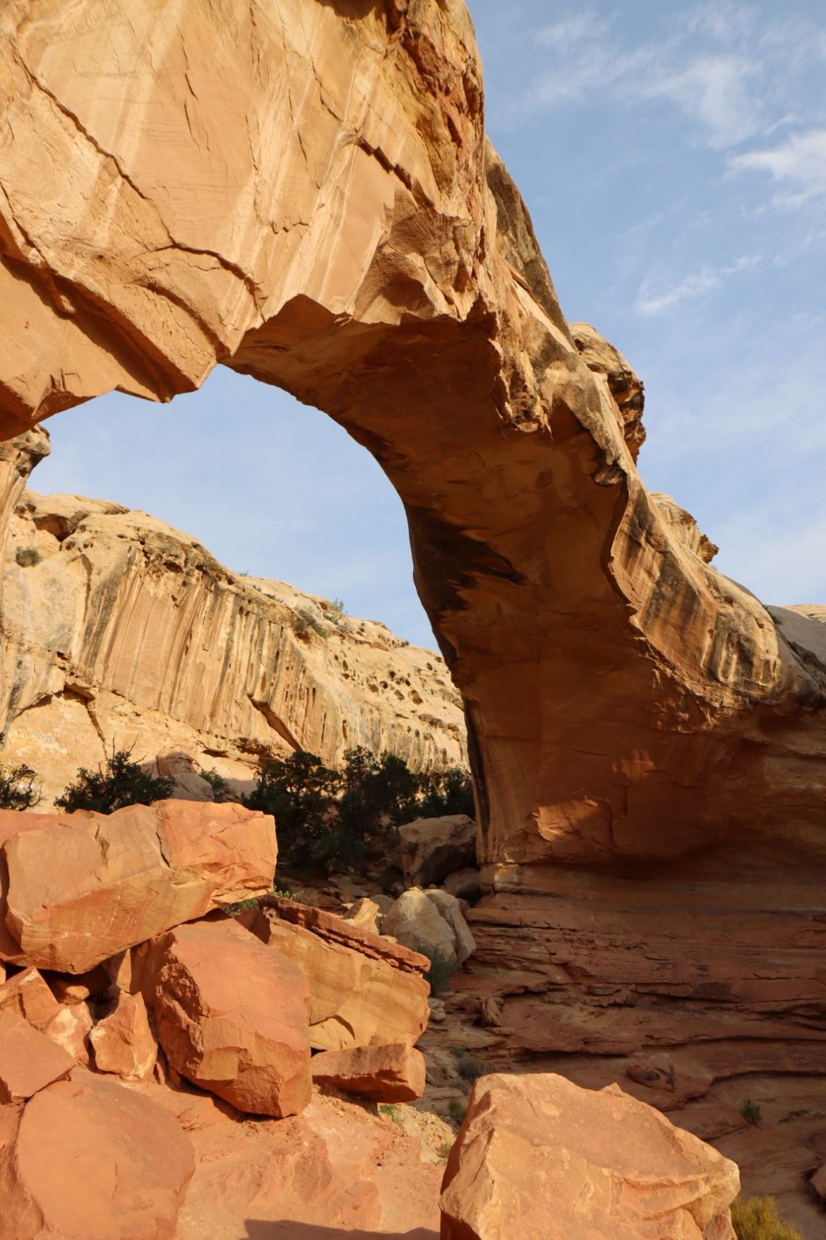 Tips for Hiking Hickman Bridge (in Capitol Reef National Park, Utah ...