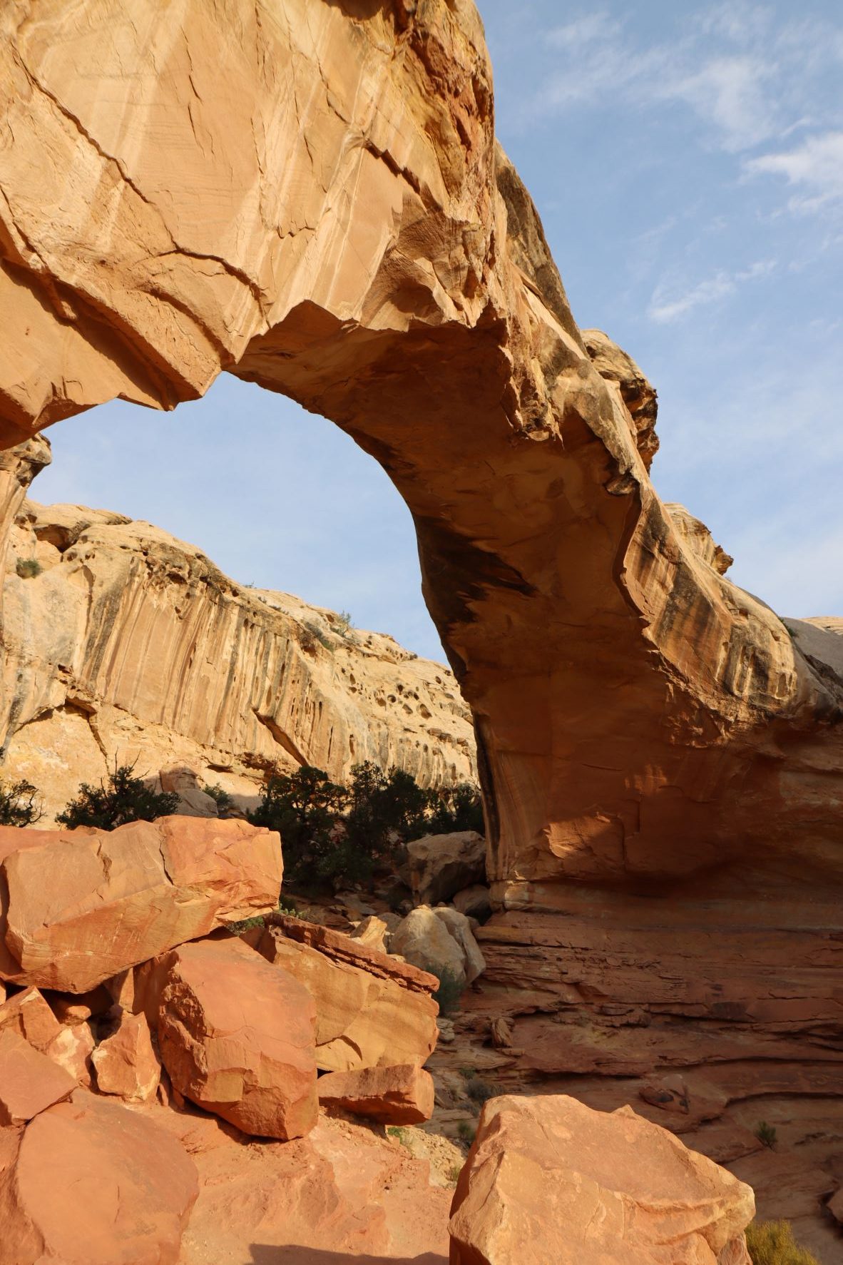 Tips for Hiking Hickman Bridge (in Capitol Reef National Park, Utah ...