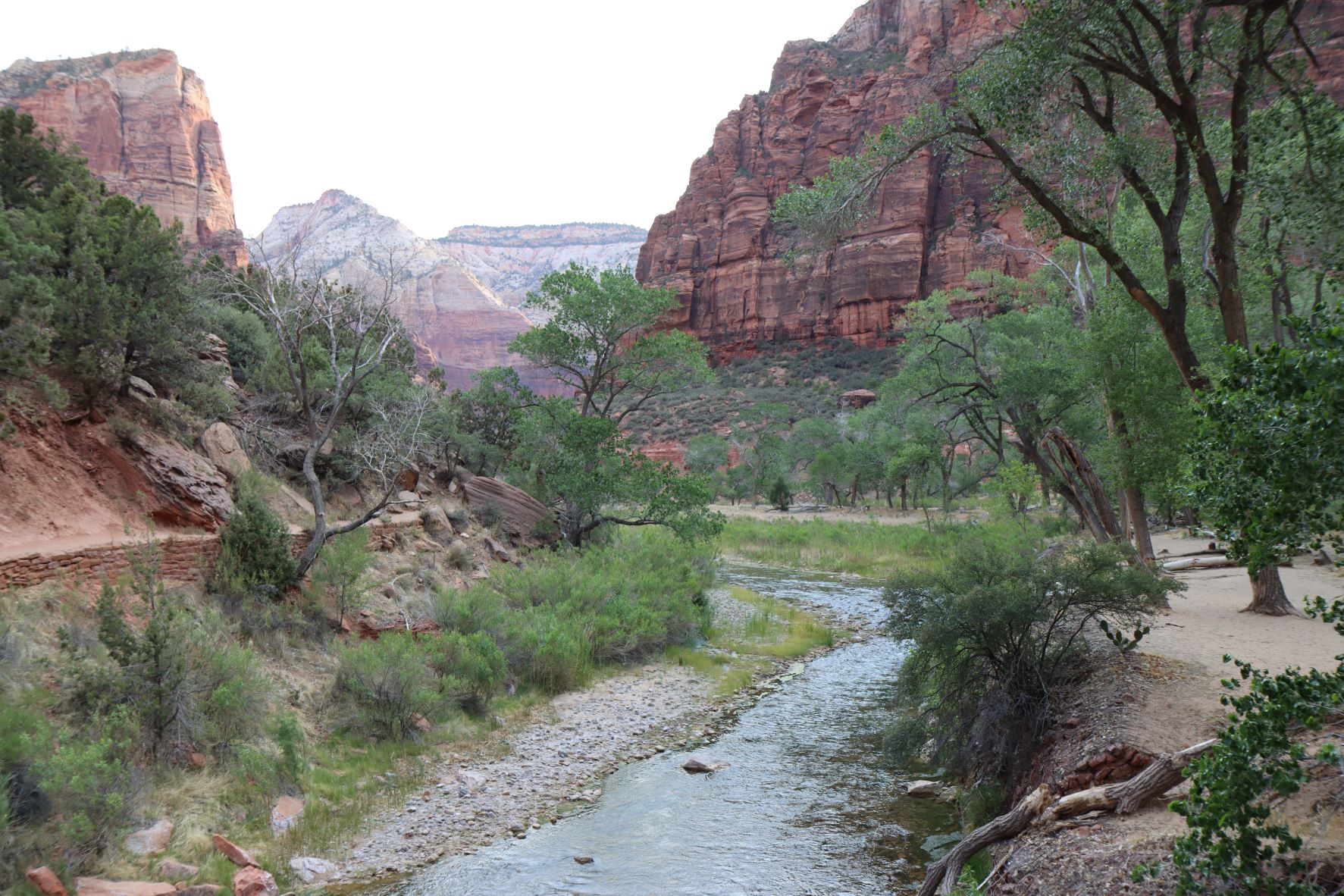 Scout Lookout, Zion: Tips for Hiking This Fantastic (Yet Challenging ...