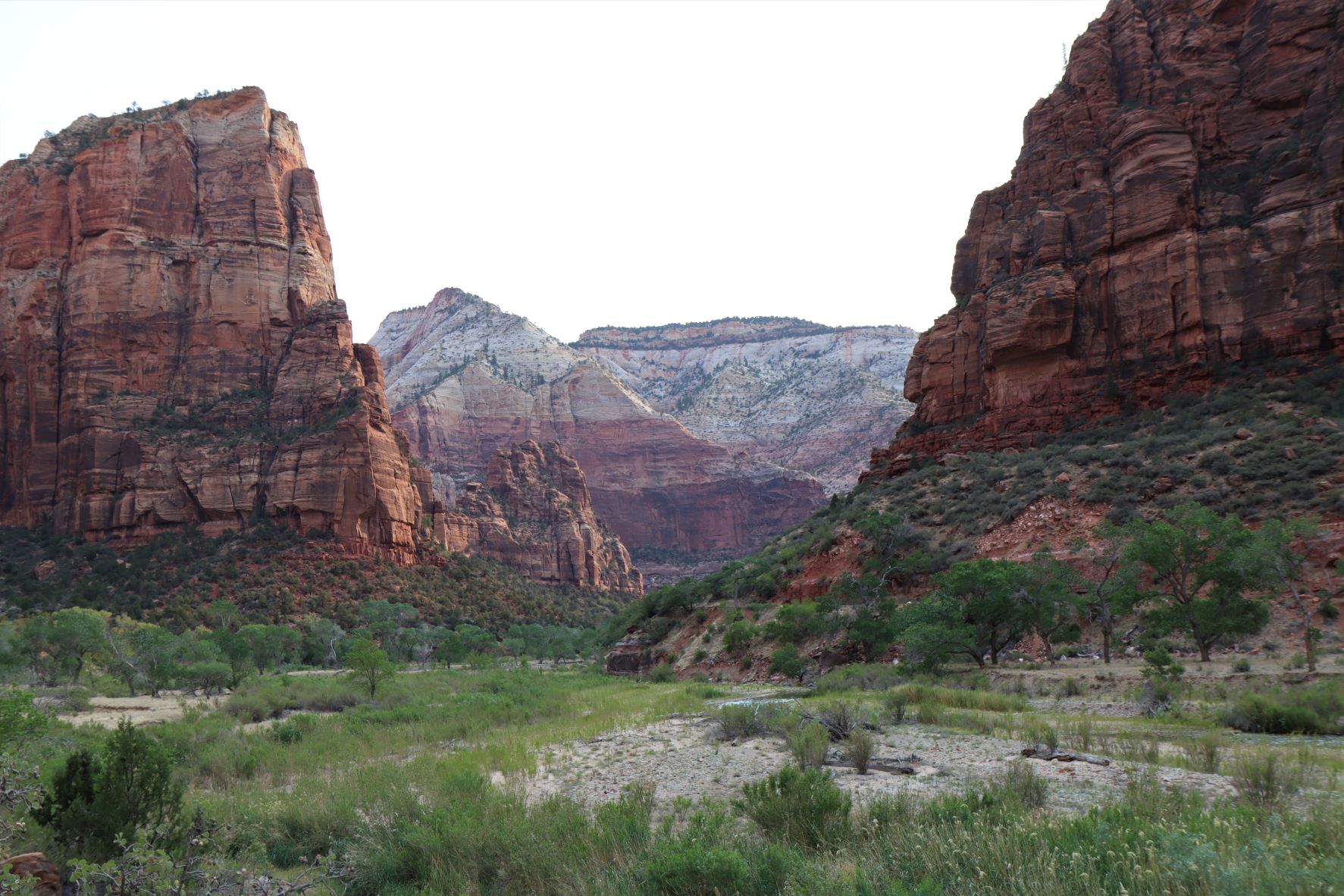 Scout Lookout, Zion: Tips for Hiking This Fantastic (Yet Challenging ...