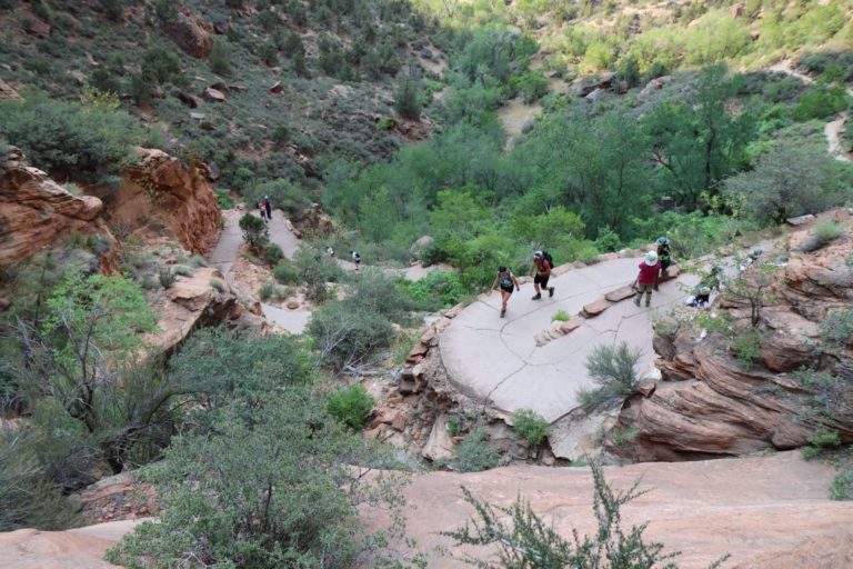 Scout Lookout, Zion: Tips for Hiking This Fantastic (Yet Challenging ...