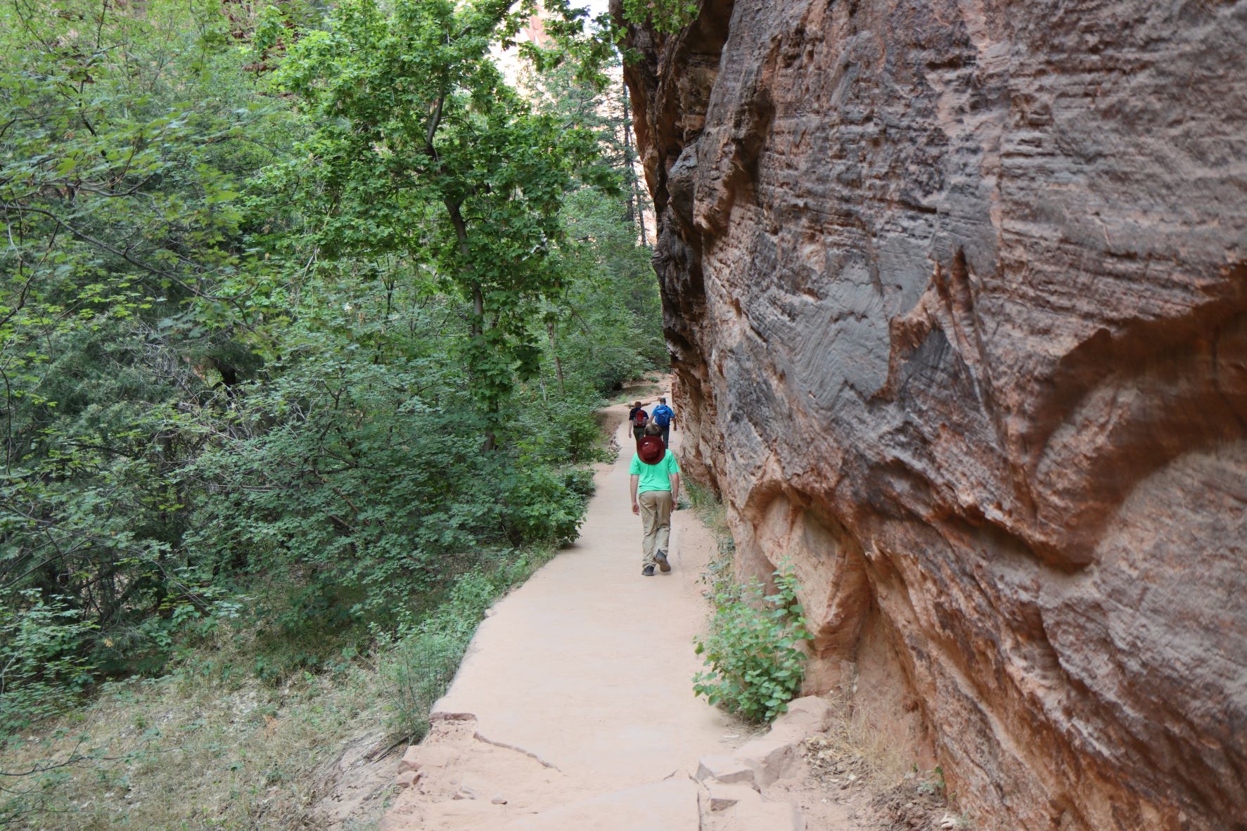 Scout Lookout, Zion: Tips for Hiking This Fantastic (Yet Challenging ...