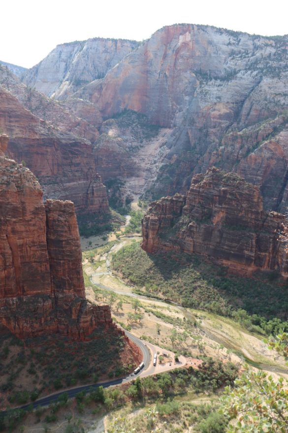 Scout Lookout, Zion: Tips for Hiking This Fantastic (Yet Challenging ...