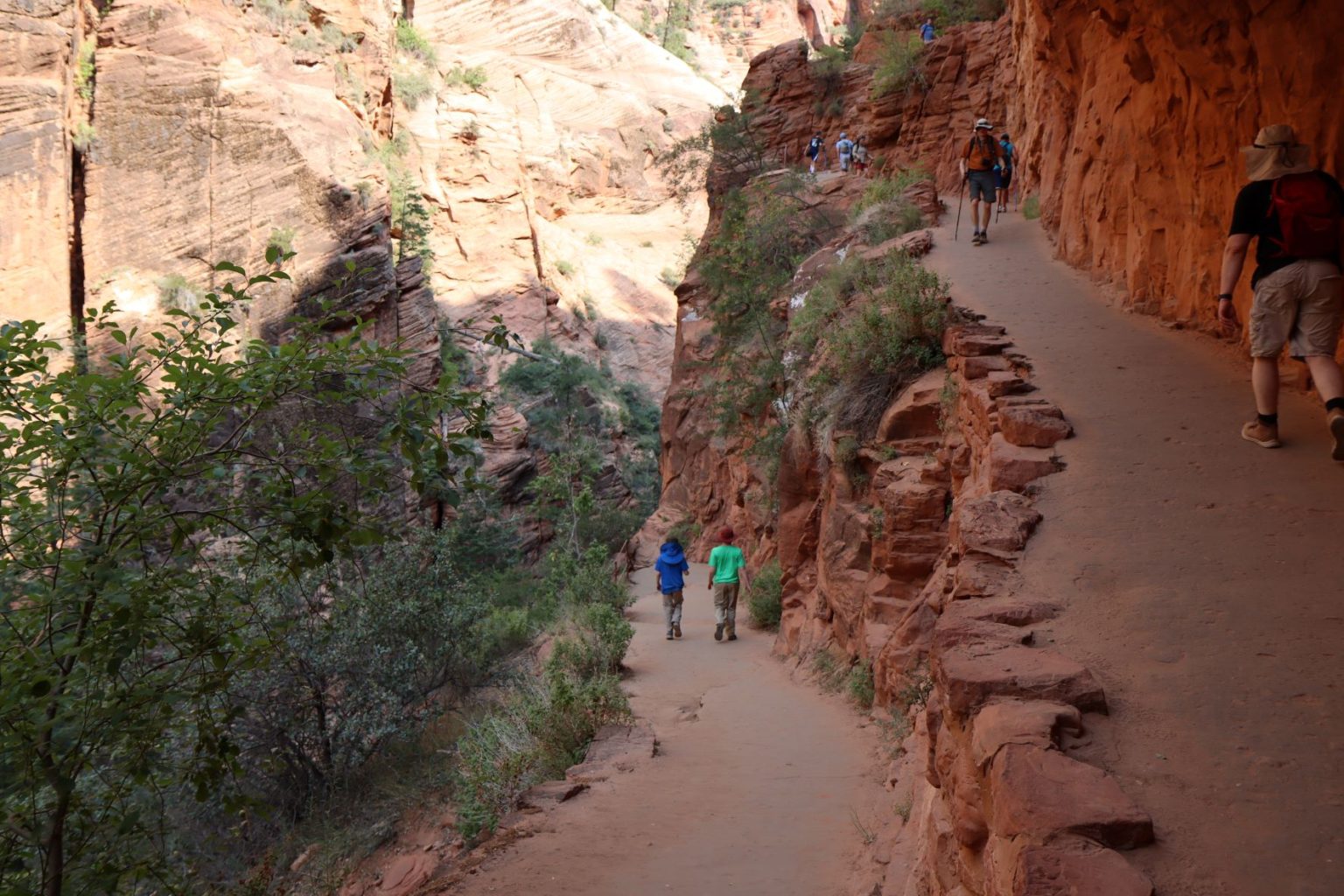 Scout Lookout, Zion: Tips for Hiking This Fantastic (Yet Challenging ...