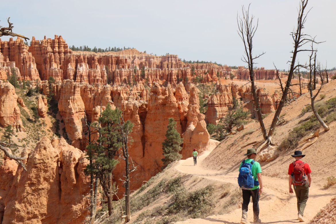Utah National Parks Road Trip: Top Sites & Hikes (+ 7 Day Itinerary ...