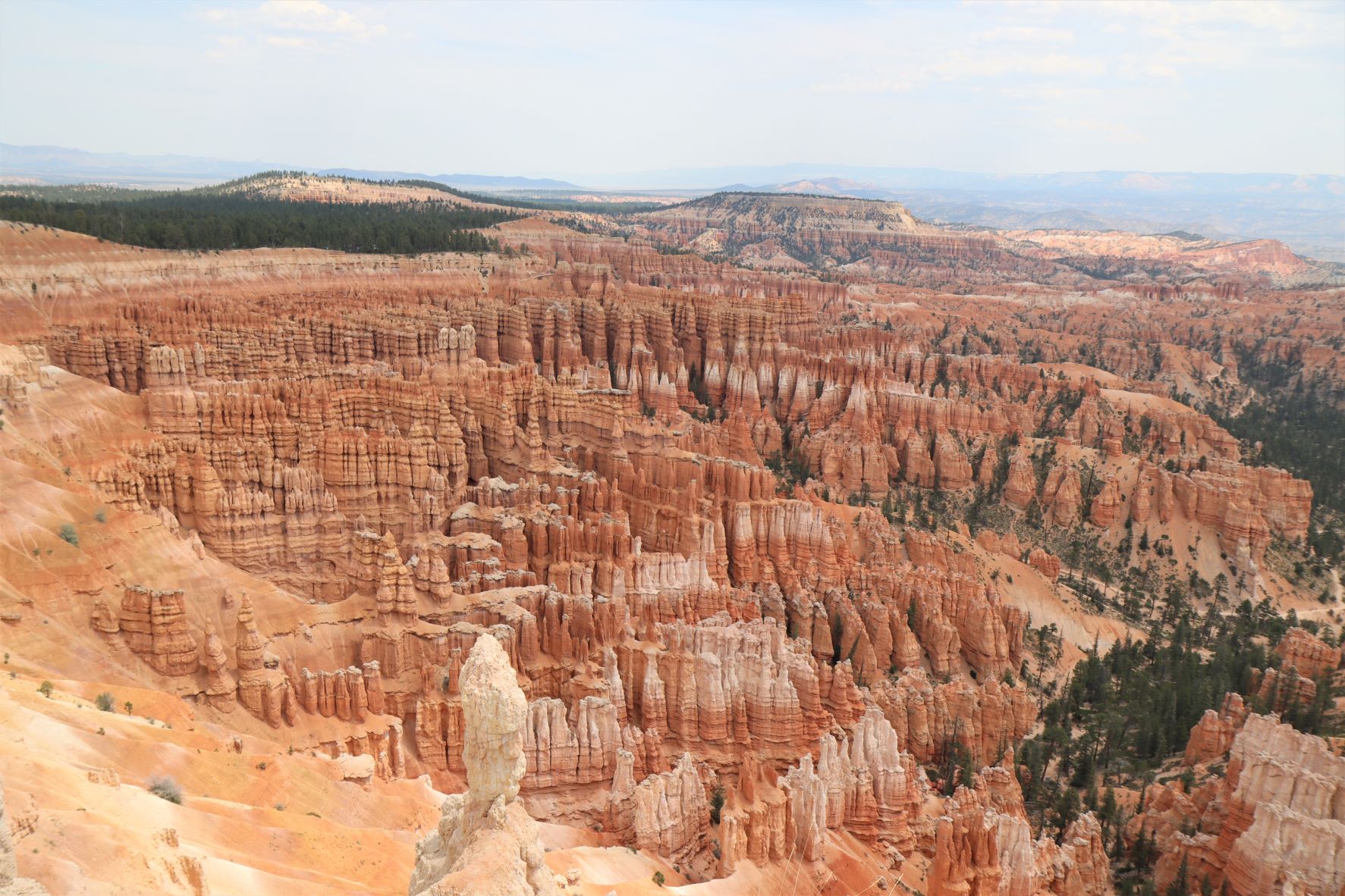 Bryce Canyon: Tips for Hiking the Queens Garden, Peekaboo, Wall Street ...