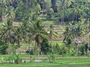 10 Great Things to Do on the Island of Bali (+Travel Tips) - 10 ...