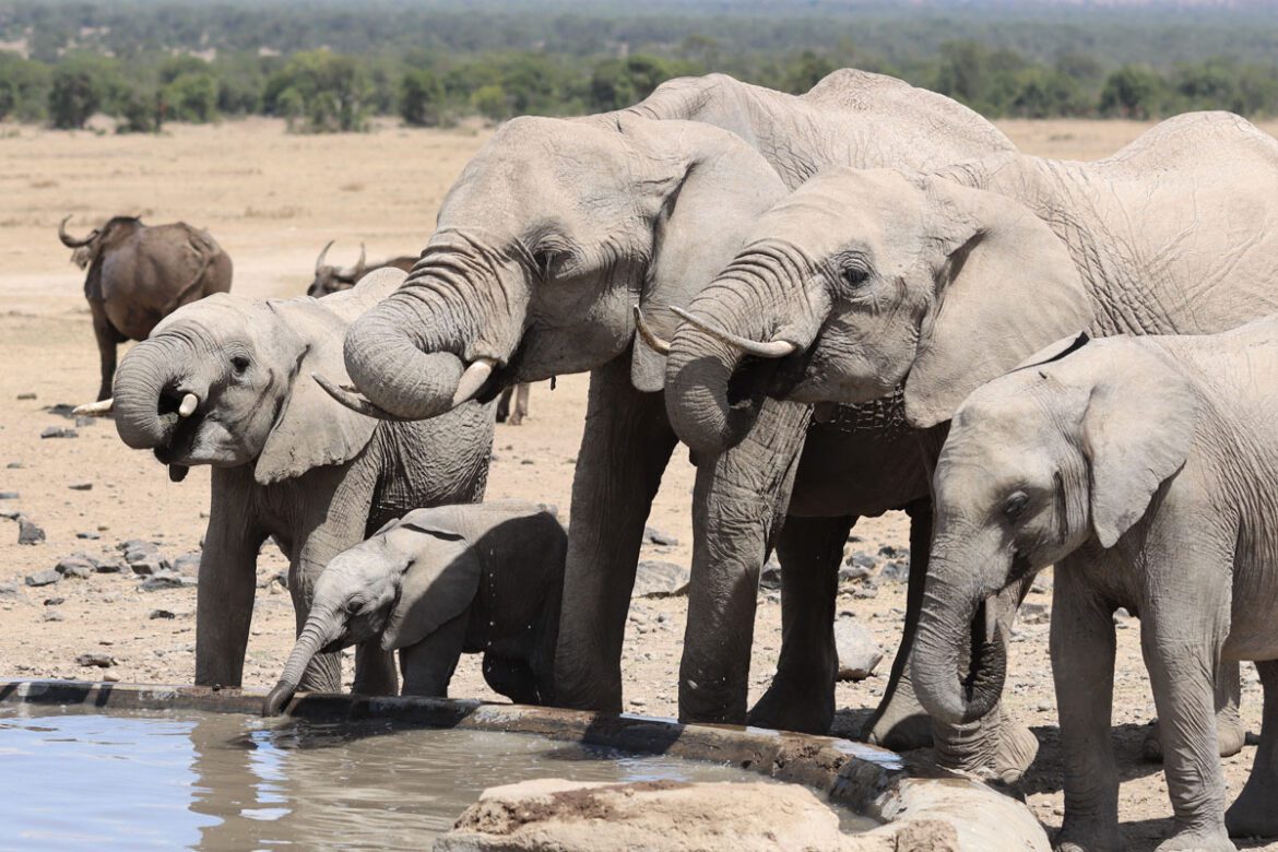 10 Amazing Things To Do in Kenya - 10 Traveling Feet